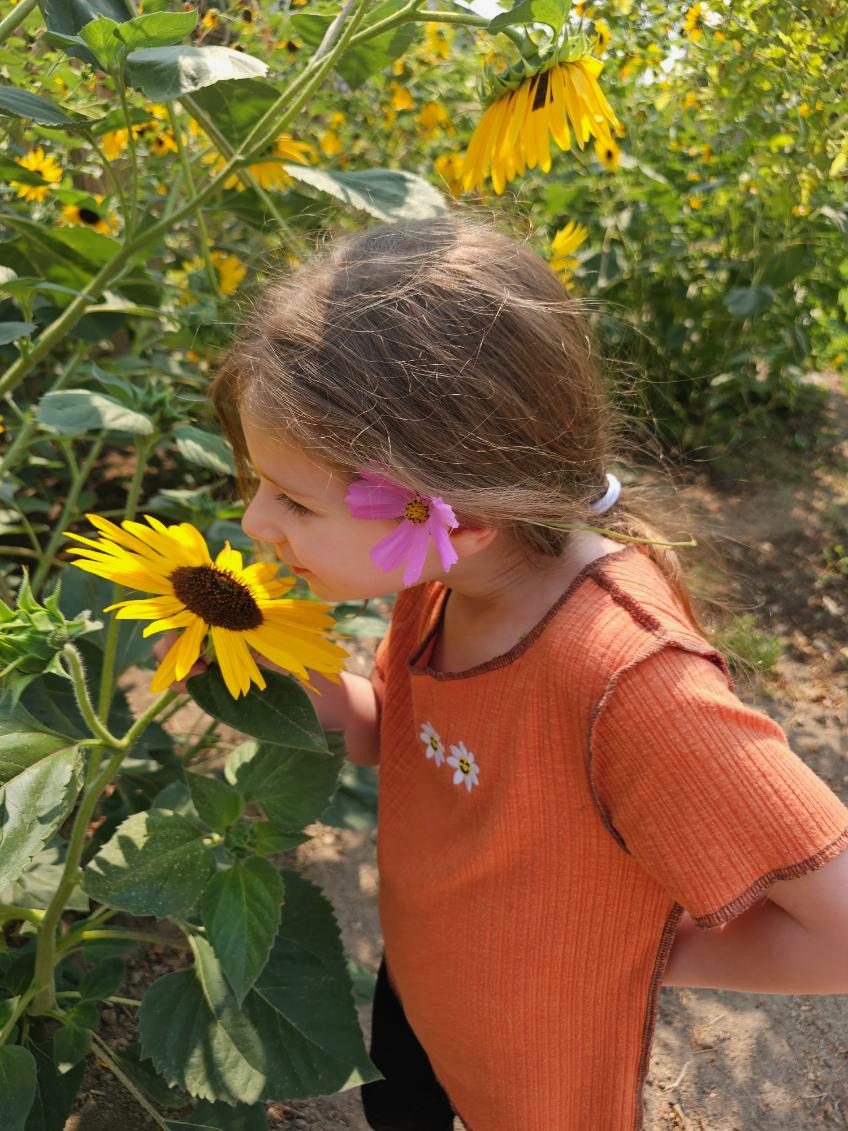 Ruby's C. diff Story